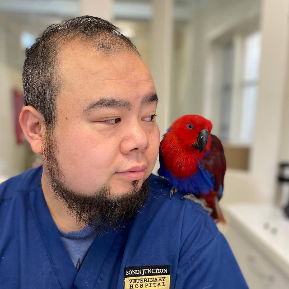 Our staff are here 7 days - (02) 9389 8411 Bondi Junction Veterinary ...